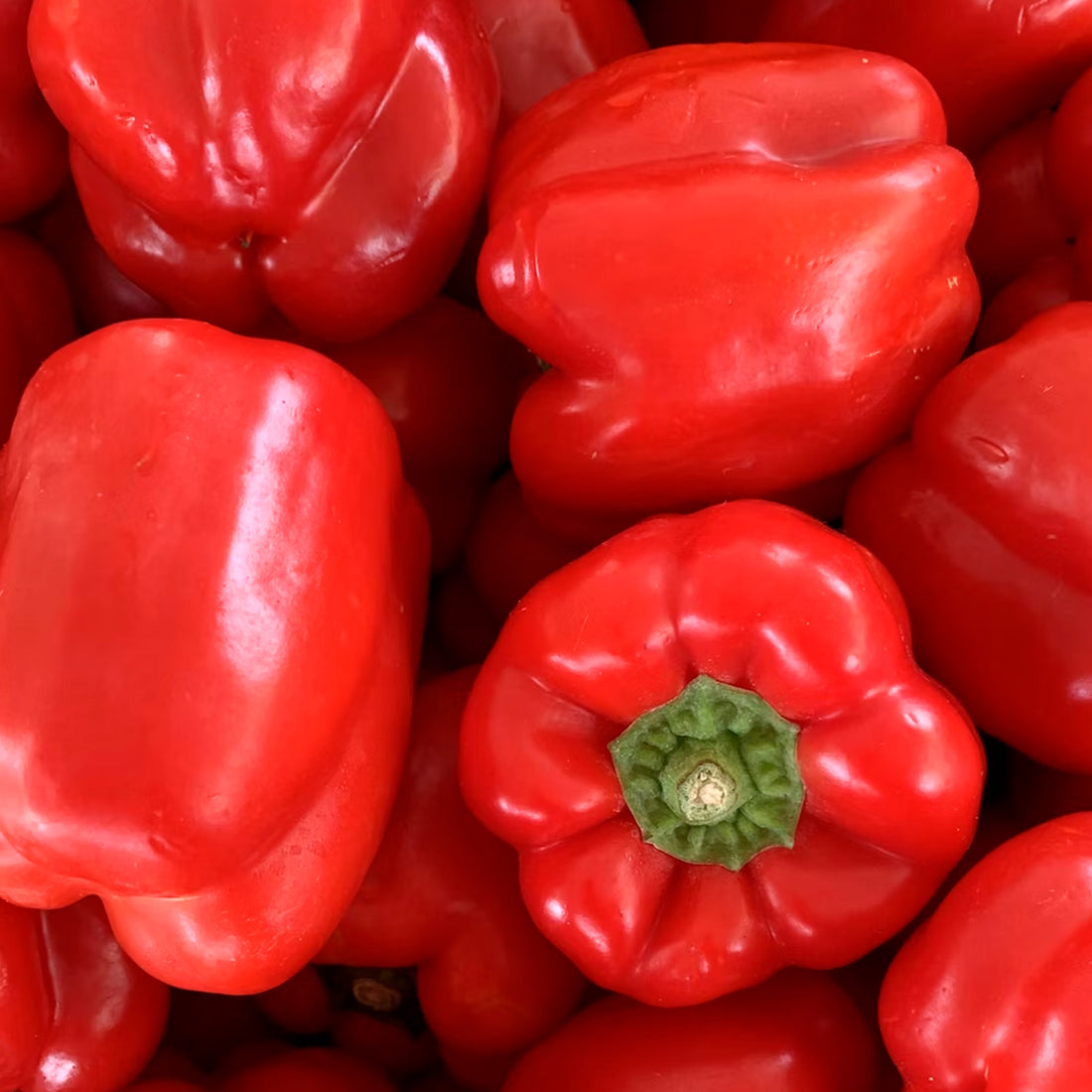 Expérience Gastronomique du Portugal: Poivron Rouge & Morue – meia.dúzia®